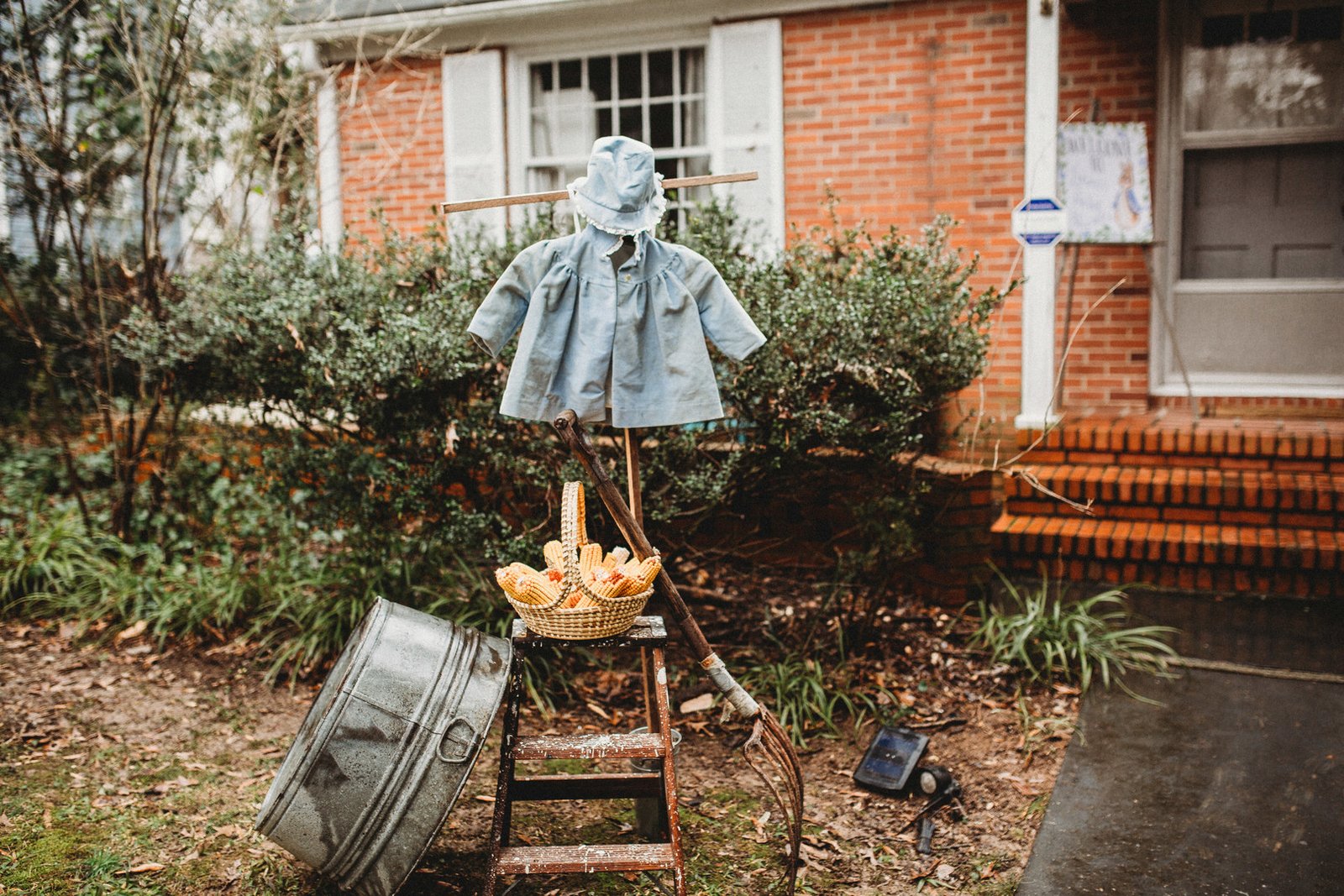 5 Ideas for a Dreamy Peter Rabbit Themed Baby Shower - Parties365