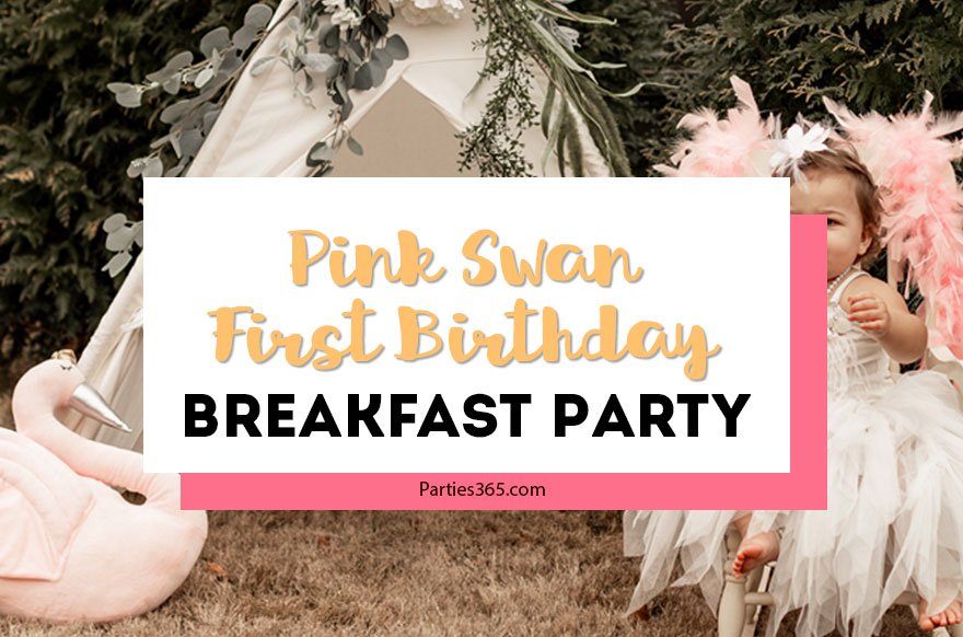 Ideas for a Sweet Swan First Birthday Party - Parties365