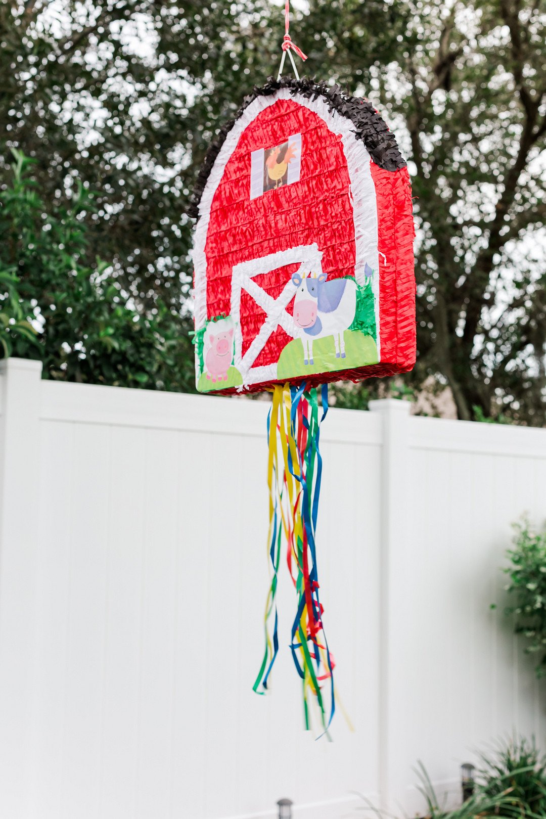 BarnyardFirstBday_Pinata - Parties365 | Party Ideas, Party Supplies ...
